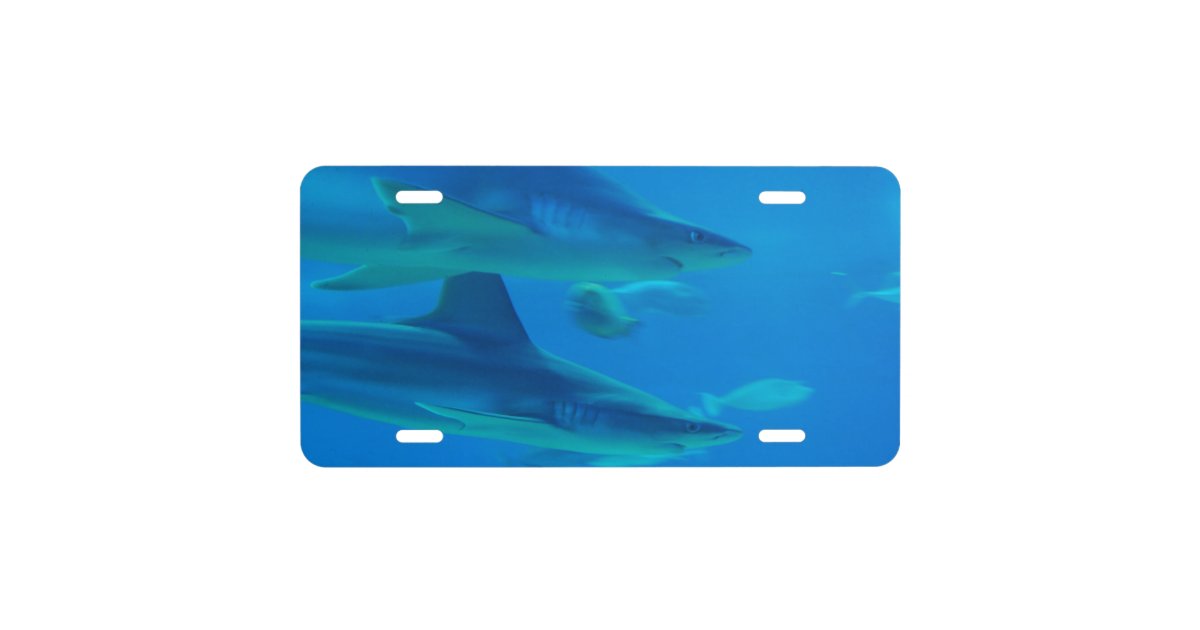 Killer Shark License Plate | Zazzle