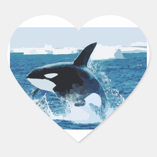 Killer Whale Heart Sticker | Zazzle