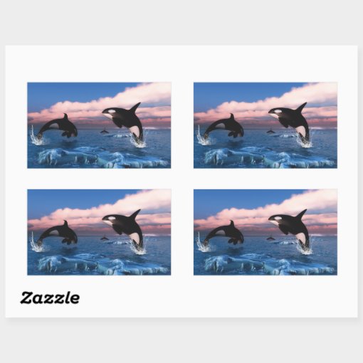 Killer Whales In The Arctic Ocean Rectangular Sticker | Zazzle