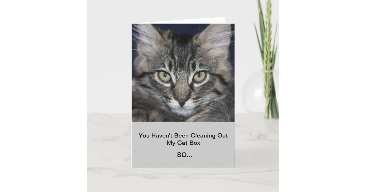 Kimber "Surprise For You" Birthday Card | Zazzle.com