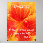 Kindness Inspirational Poster Quote Plato Hibiscus | Zazzle