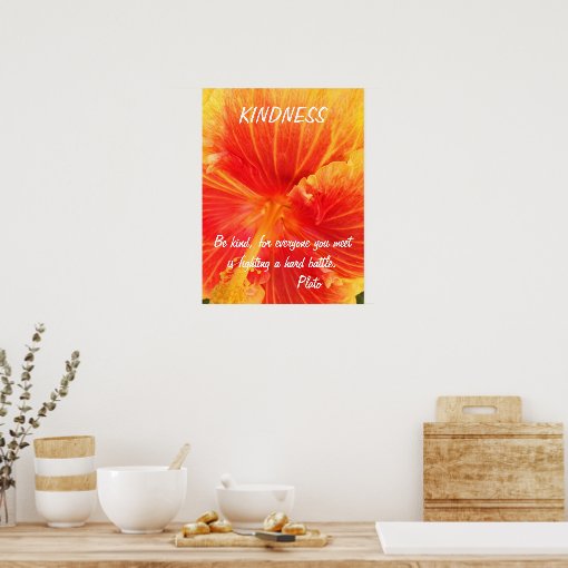 Kindness Inspirational Poster Quote Plato Hibiscus | Zazzle