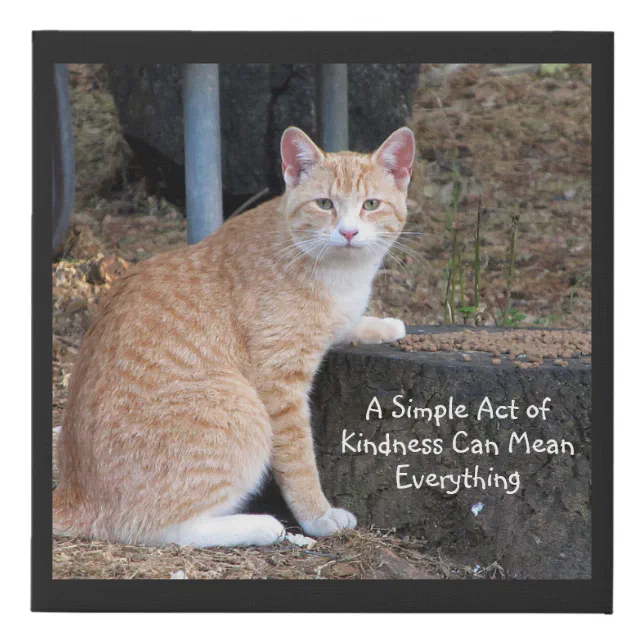 Kindness Orange Tabby Cat Canvas Print | Zazzle