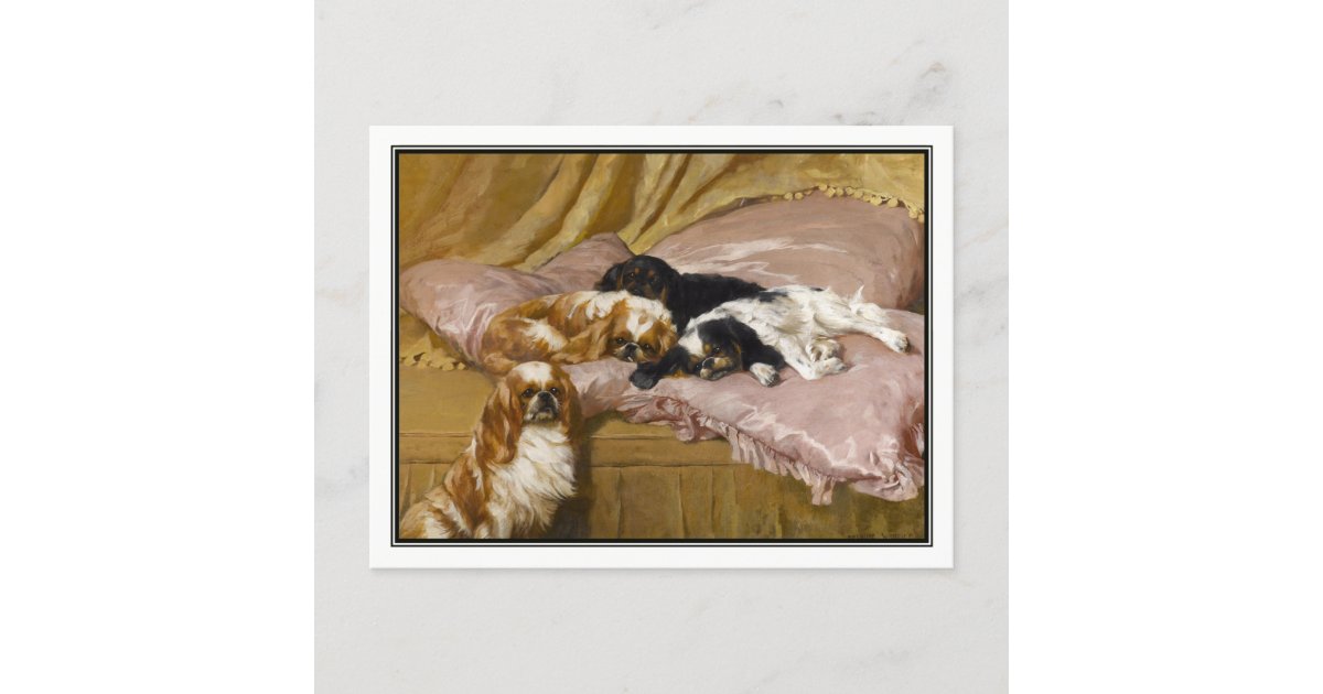King Charles Spaniels by Arthur Wardle Postcard | Zazzle