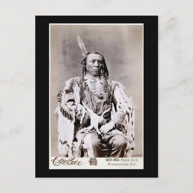 King Crow 1880 Postcard | Zazzle