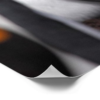 King Penguin with Chick Poster | Zazzle