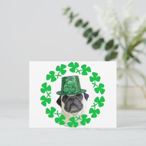 Kiss me i'm Irish pug postcard | Zazzle