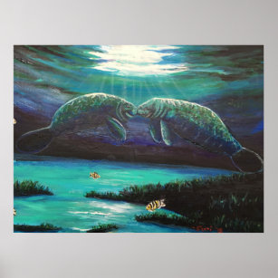 Manatee Posters & Photo Prints | Zazzle