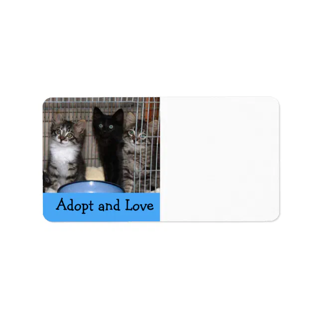 Kitten Adopt and Love Address Label | Zazzle