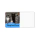 Kitten Adopt and Love Address Label | Zazzle