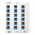 Kitten Adopt and Love Address Label | Zazzle