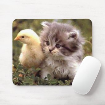 Kitten and Baby Chick Mouse Pad | Zazzle