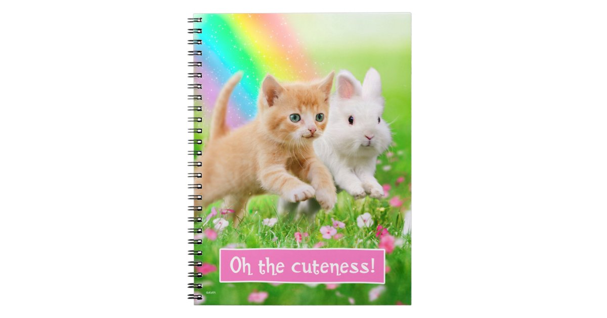 Kitten & Bunny with Rainbow Notebook | Zazzle