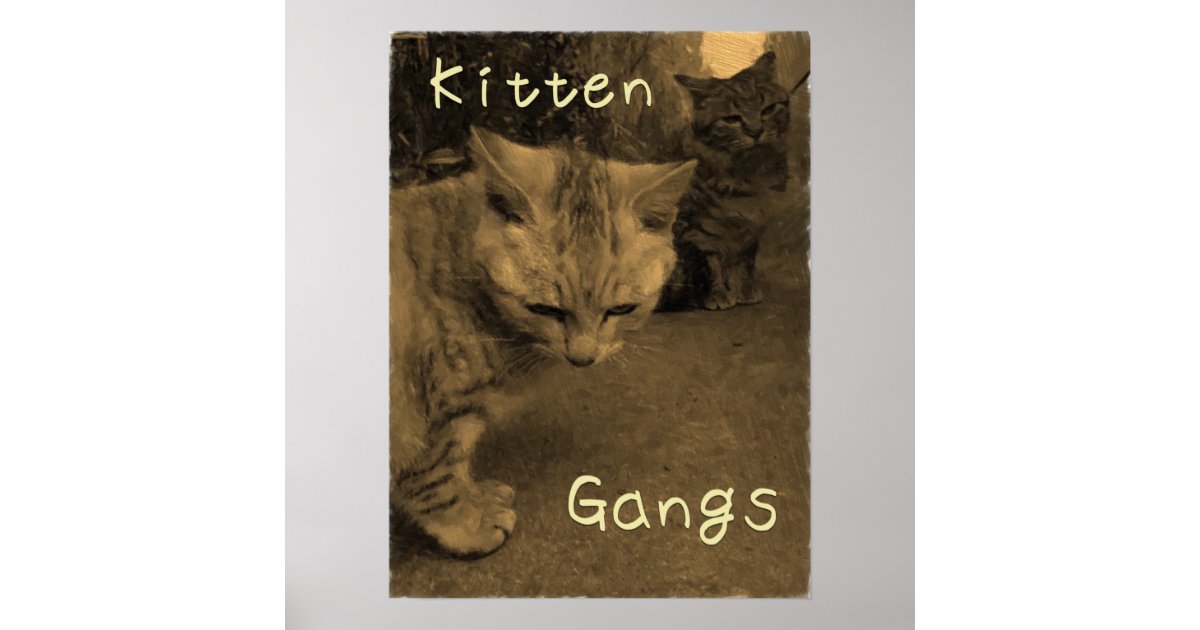 Kitten Gangs Poster | Zazzle