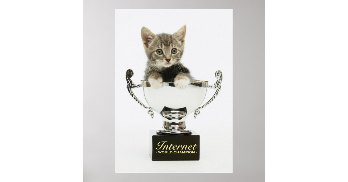 Kitten in a Trophy Poster | Zazzle