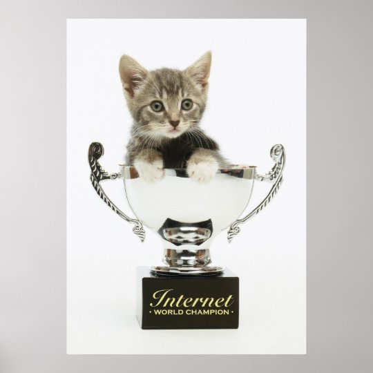 Kitten in a Trophy Poster | Zazzle.com