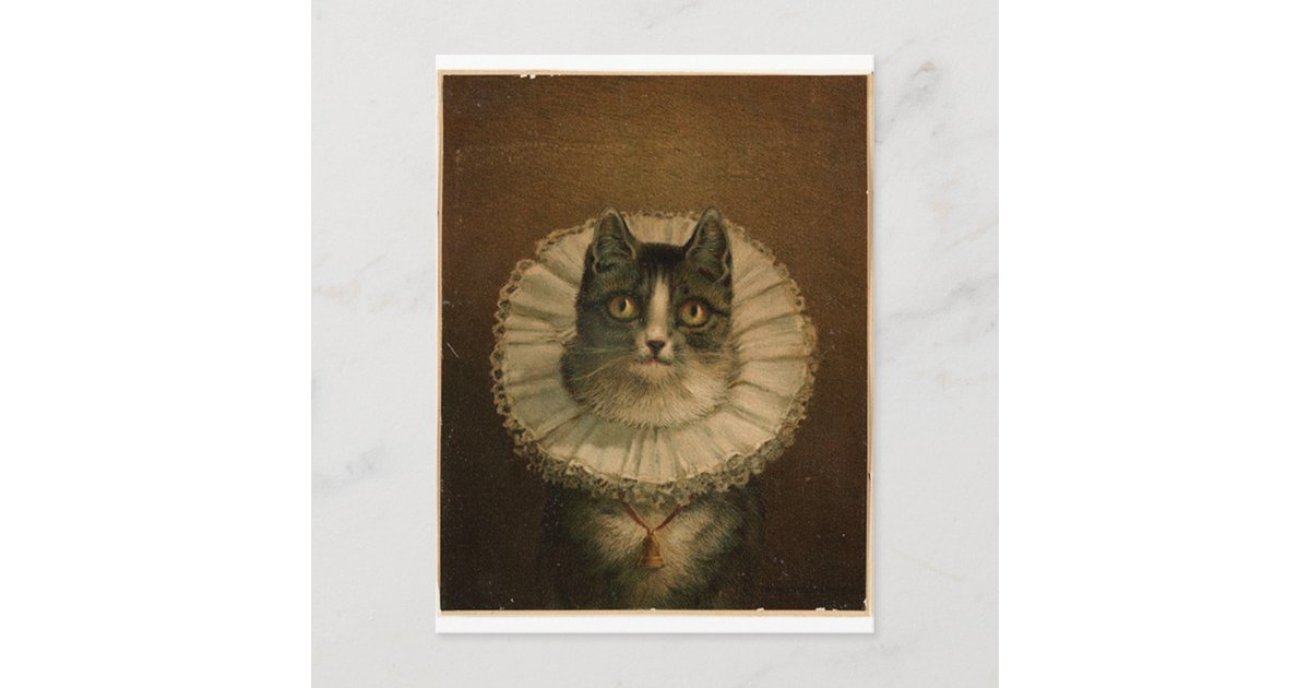 Kitten in an Elizabethan ruff Postcard | Zazzle