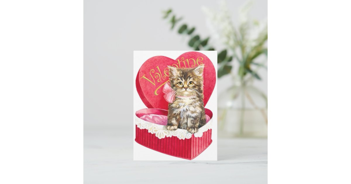Kitten in Candy Box Postcard | Zazzle