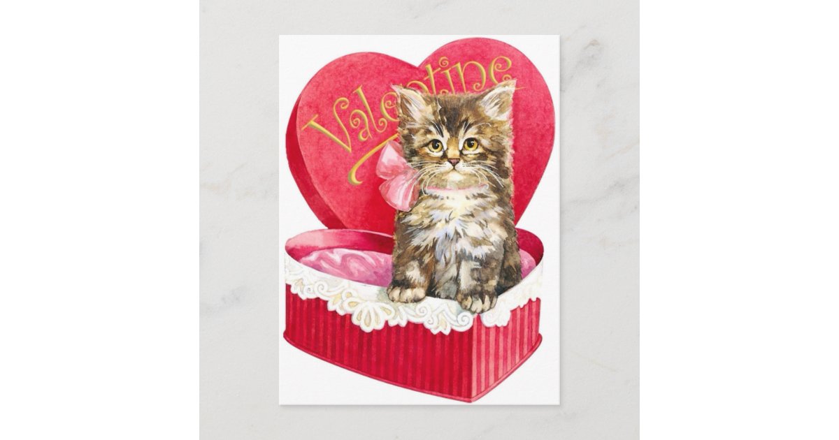 Kitten in Candy Box Postcard | Zazzle.com