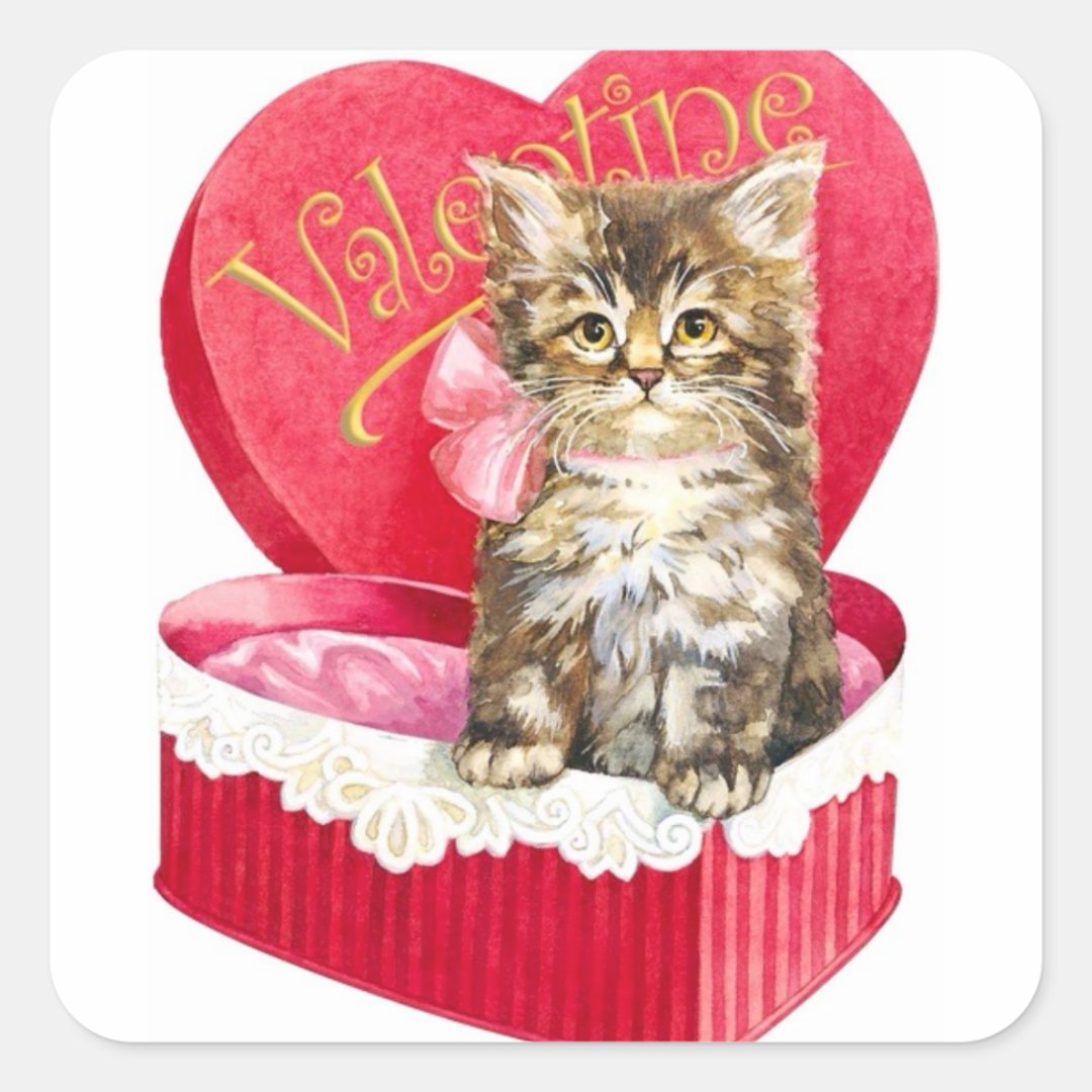 Kitten in Candy Box Square Sticker | Zazzle