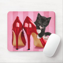 Kitten in Shoe Mouse Pad | Zazzle