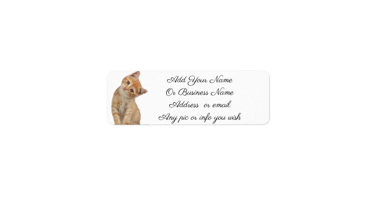 Kitten Labels | Zazzle