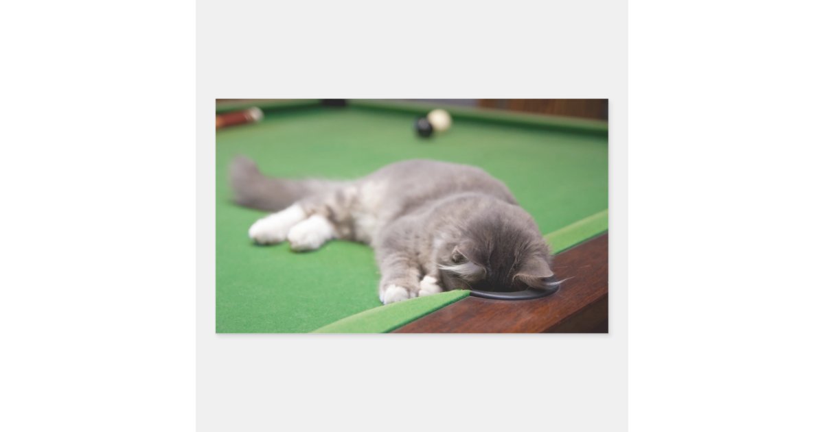 Kitten Playing Pool Rectangular Sticker | Zazzle