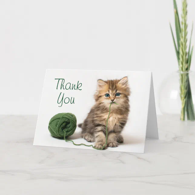 Kitten With Green Yarn Thank You Card | Zazzle