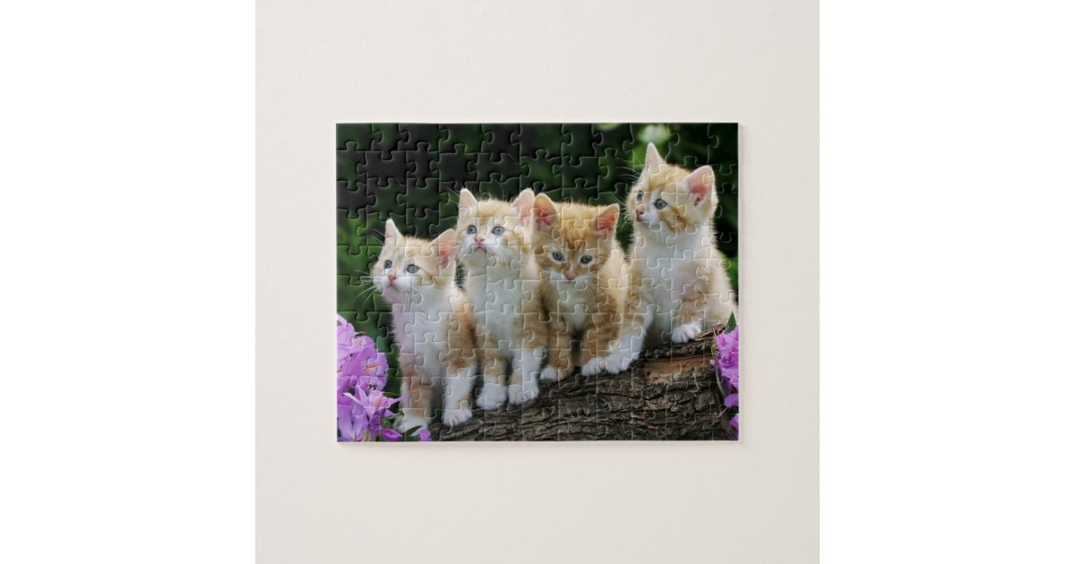 Kittens Puzzle | Zazzle