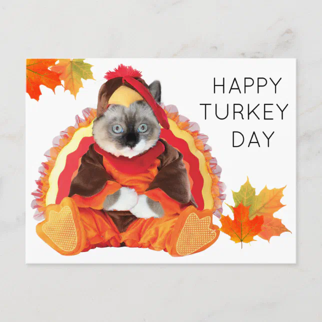 Kittens Thanksgiving Turkey Day Postcard | Zazzle