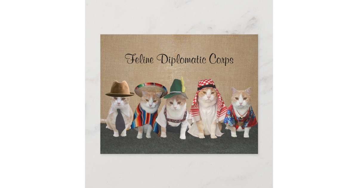 Kitty Ambassadors Postcard Zazzle