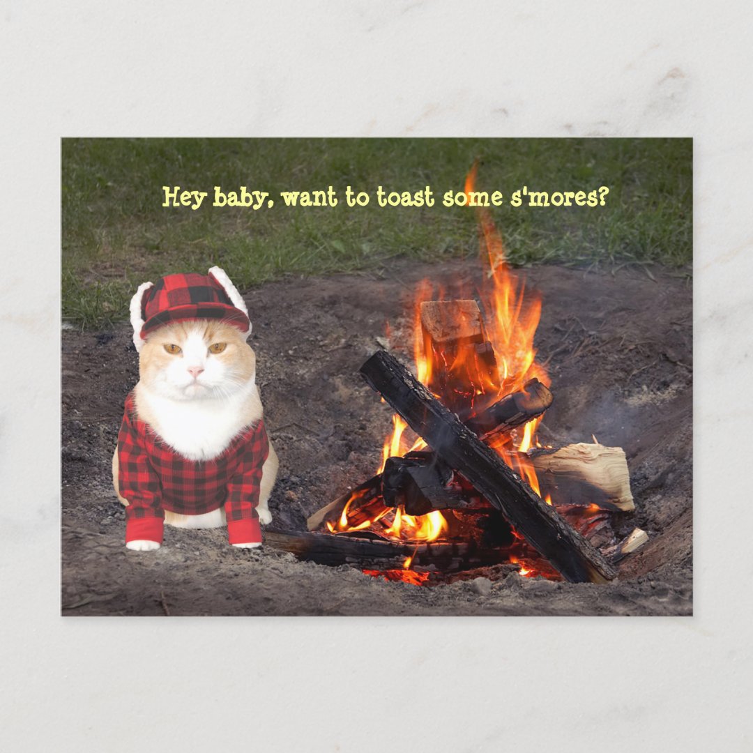 Kitty Campfire Postcard | Zazzle