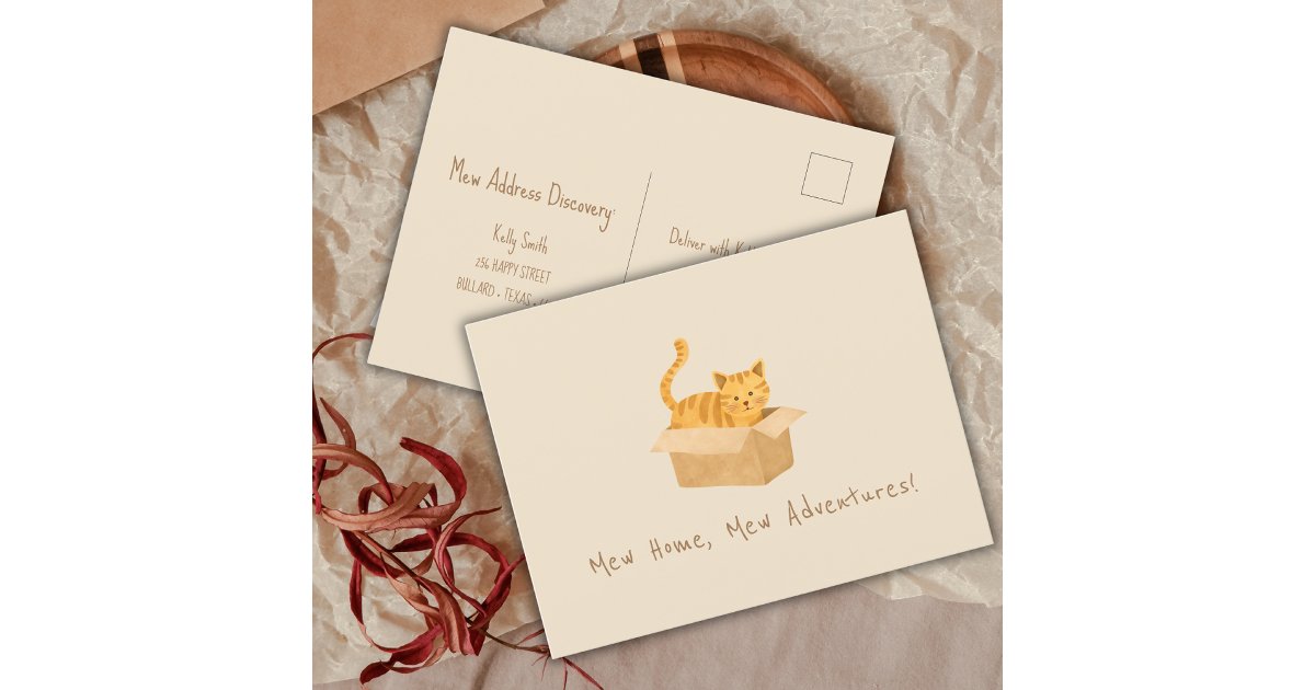 Kitty on the Move | Home Moving Postcard | Zazzle