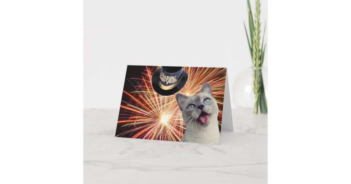 Kitty with fireworks holiday card | Zazzle