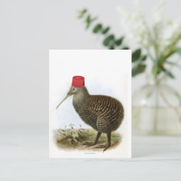 Kiwi Bird Wearing Fez Absurd Vintage Postcard | Zazzle