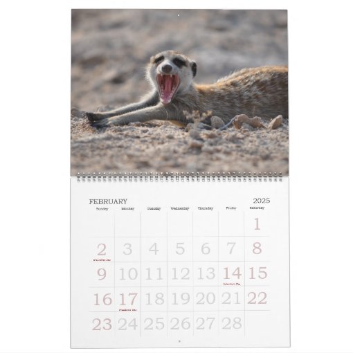 KMP Meerkats 2013 Calendar | Zazzle