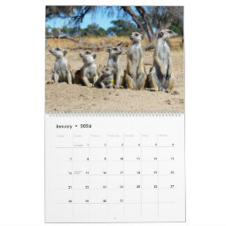 KMP Meerkats - 2018 Calendar | Zazzle