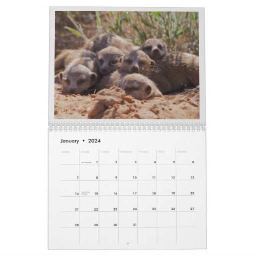 KMP Meerkats - 2020 Calendar | Zazzle
