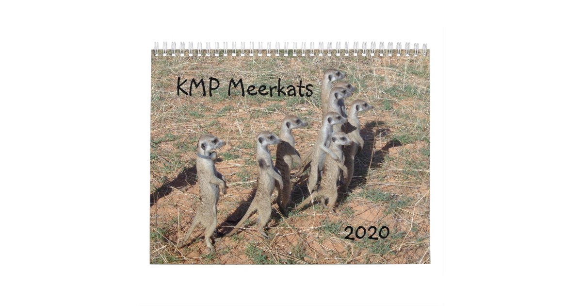KMP Meerkats - 2020 Calendar | Zazzle