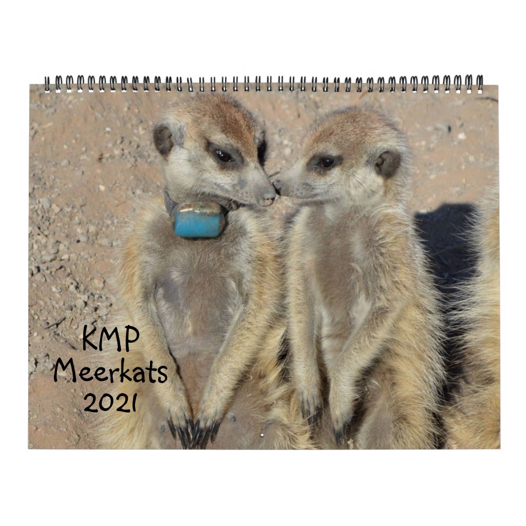 KMP Meerkats 2021 Calendar | Zazzle