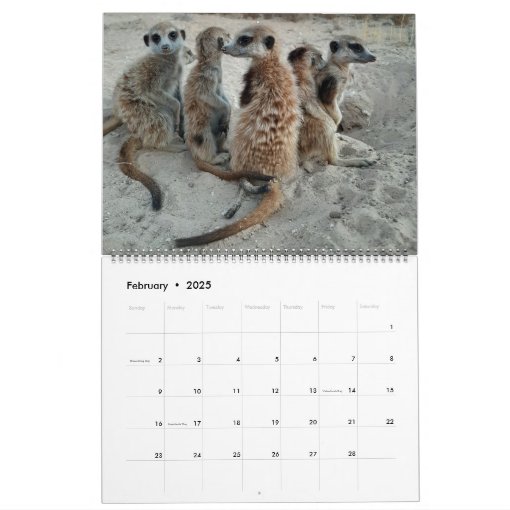 KMP Meerkats 2021 Calendar | Zazzle