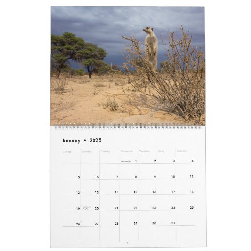 KMP Meerkats 2021 Calendar | Zazzle
