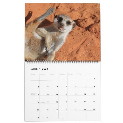KMP Meerkats 2021 Calendar | Zazzle