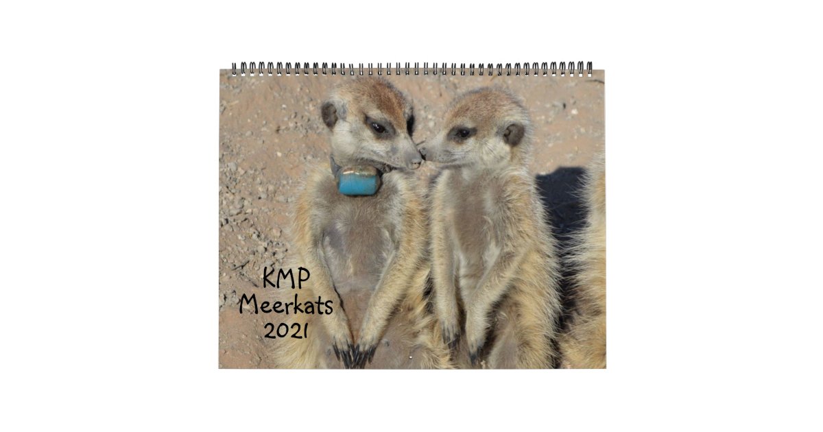 KMP Meerkats 2021 Calendar | Zazzle