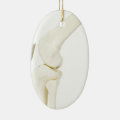 Knee joint model of human leg ceramic ornament | Zazzle
