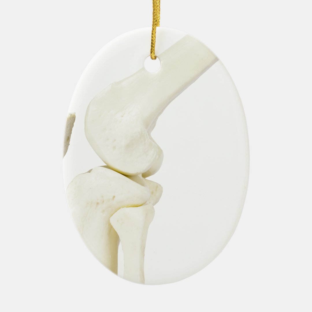 Knee joint model of human leg ceramic ornament | Zazzle