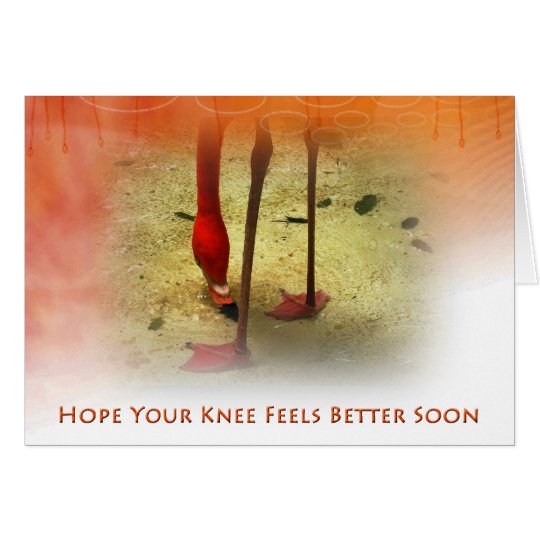 Knee Surgery Get Well Soon Pink Flamingo Card | Zazzle.com