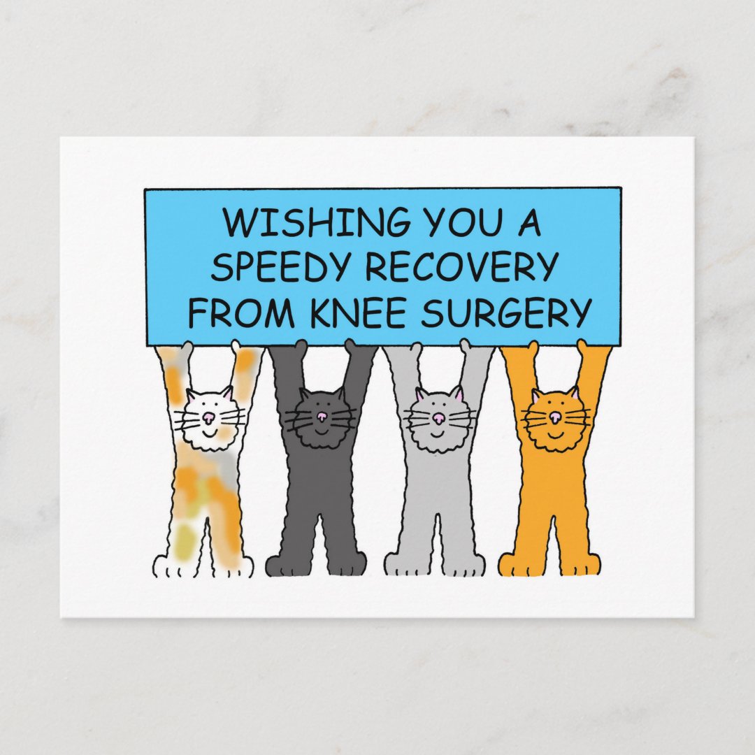 Knee Surgery Speedy Recovery Cartoon Cats Postcard | Zazzle