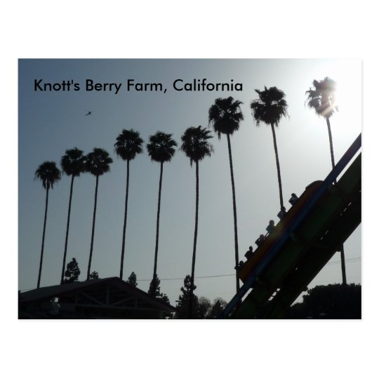 Knott's Berry Farm, California Postcard | Zazzle.com