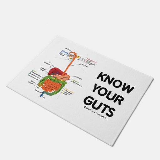 Know Your Guts Digestive System Geek Humor Doormat | Zazzle